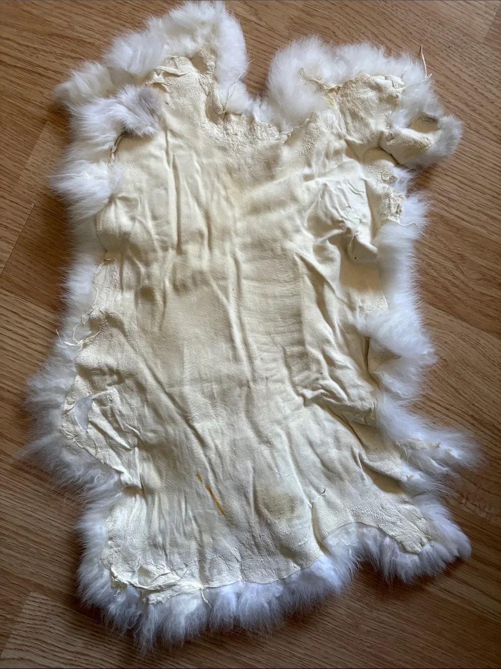 Accents | B084 Rabbit Pelt | Poshmark